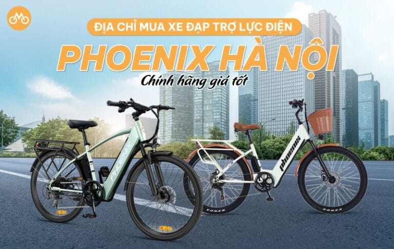 Địa chỉ mua xe đạp trợ lực điện Phoenix Hà Nội - ProBike - Xe Đạp Trợ ...