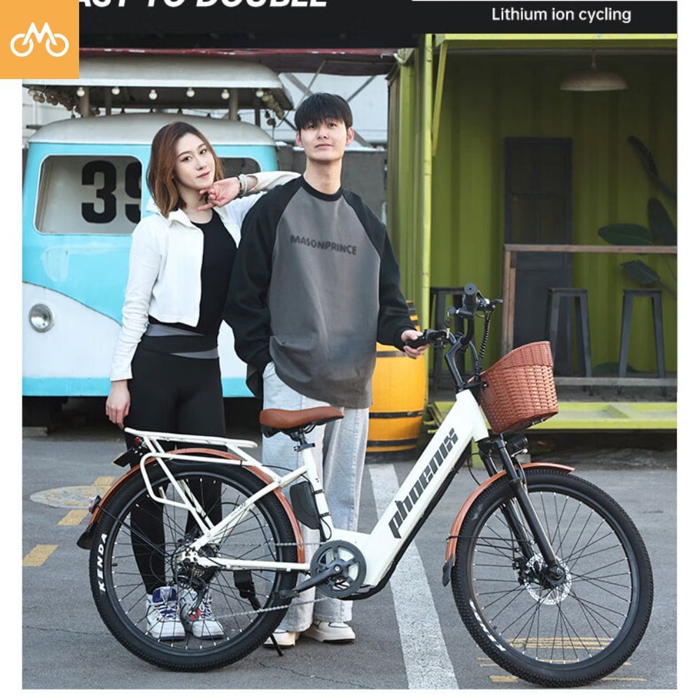 Địa chỉ mua xe đạp trợ lực điện Phoenix Hà Nội - ProBike - Xe Đạp Trợ ...